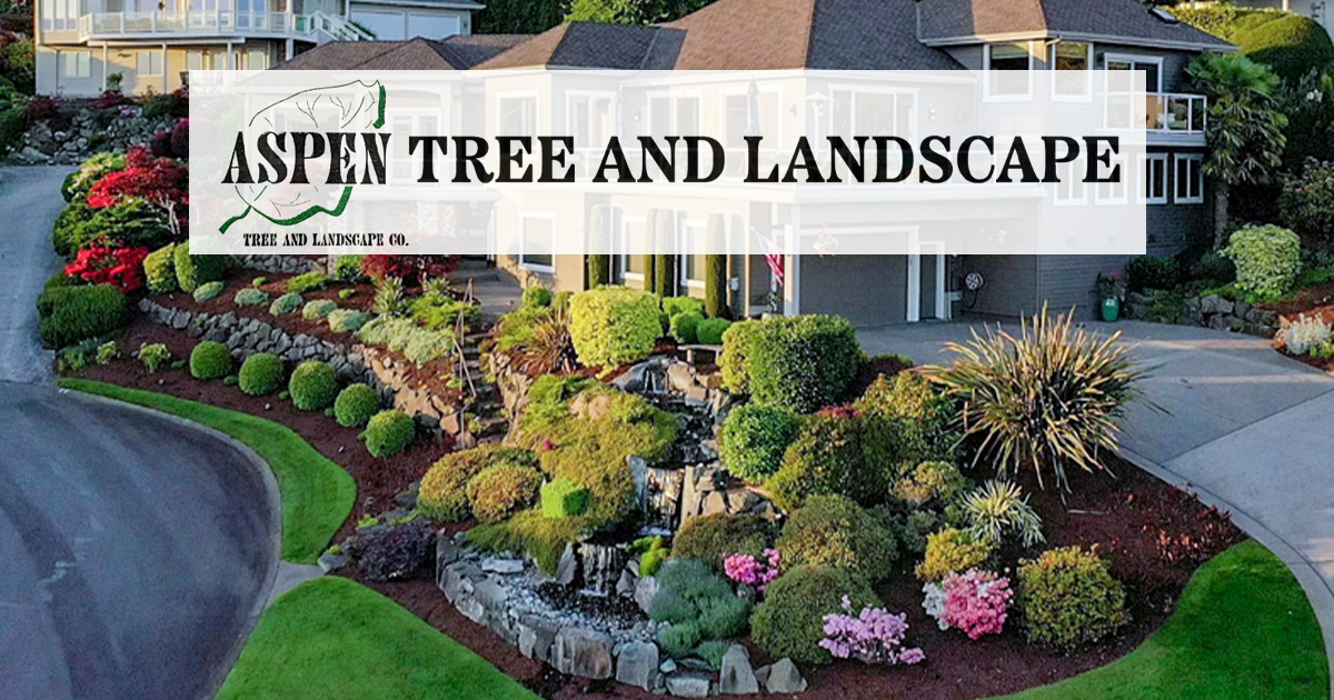 Resources - Aspen Tree and Landscape